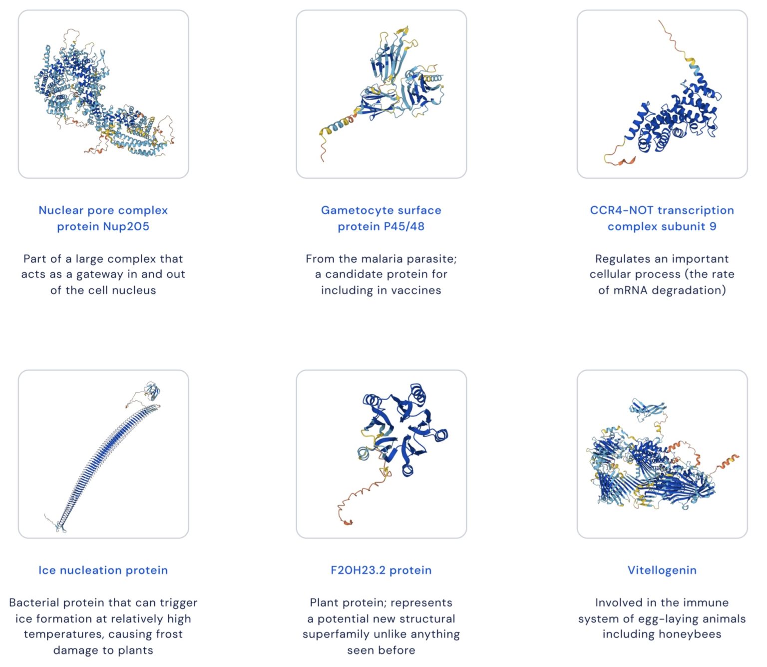 DeepMindの「AlphaFold」2億以上のタンパク質構造予測を可能にしたディープラーニング